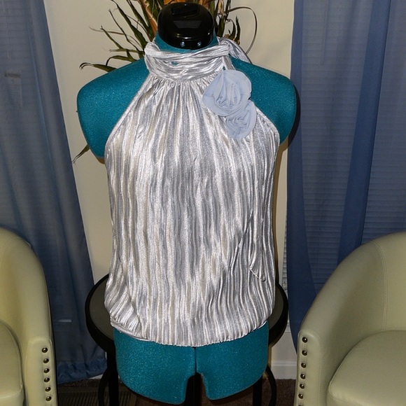 Tempted | Tops | Tempted Metallic Silver Pleated Halter Top | Poshmark